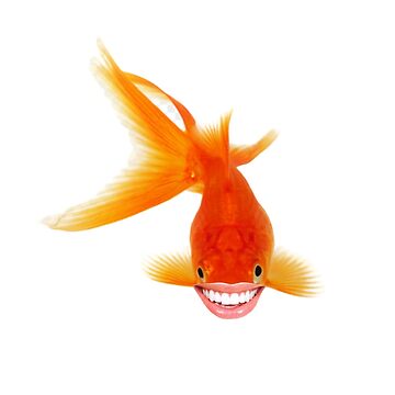 "smiling fish " Sticker for Sale by peachpasta | Redbubble