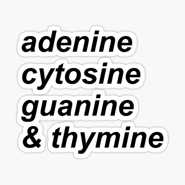 "The Four Nucleotides of DNA" Sticker by heidieliza | Redbubble