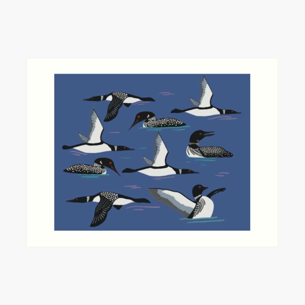 Minnesota Loons Art Prints | Redbubble
