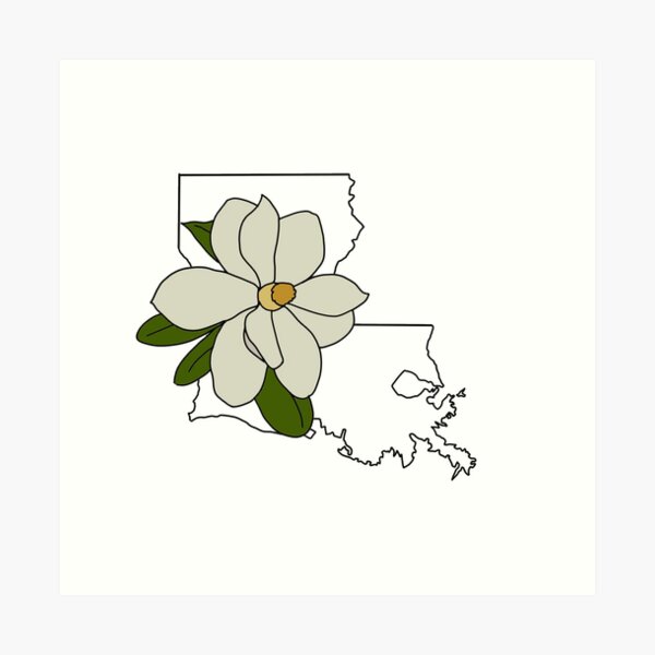 Louisiana State Flower Art Prints | Redbubble