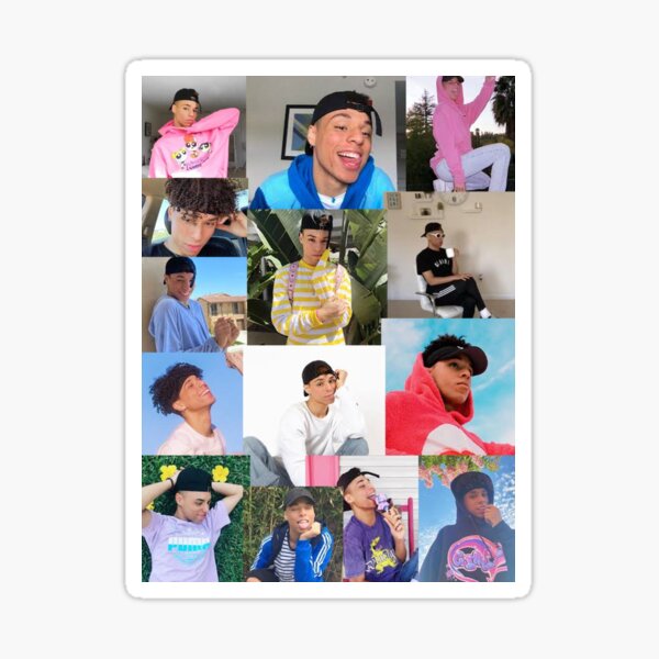 "Larray " Sticker for Sale by dxvilist | Redbubble