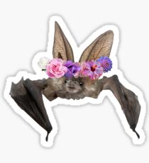Cute Bat: Stickers | Redbubble