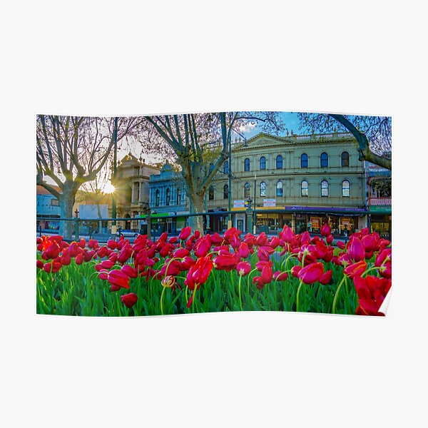 "Sunrise over Pall Mall" Poster for Sale by sjphotocomau | Redbubble