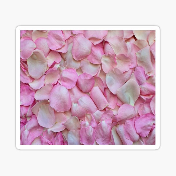 "Pink rose petals on the bed" Sticker for Sale by 1970Russell | Redbubble
