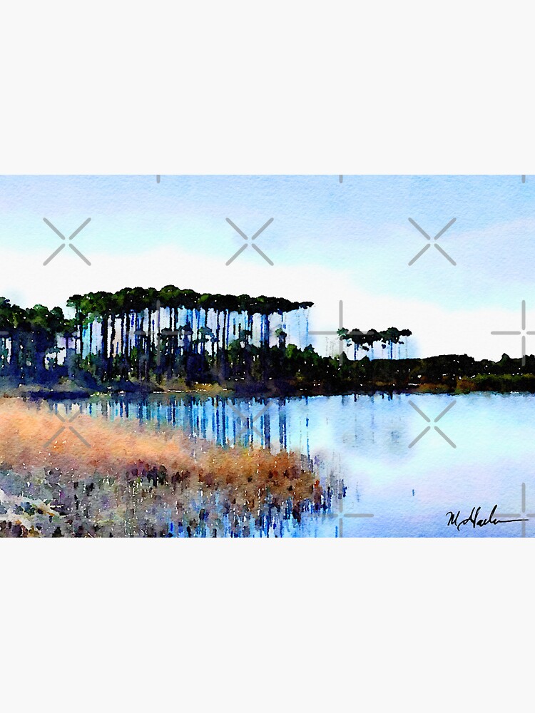 "Tall Stand of Trees on Grayton Beach 30a Puzzle" Sticker for Sale by ...
