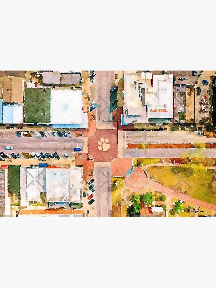 "Toomer's Corner Aerial Watercolor Puzzle" Art Print by Statepallets ...