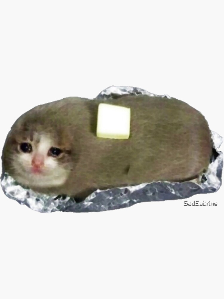 "Crying Potato Cat Meme" Sticker for Sale by SadSabrine | Redbubble
