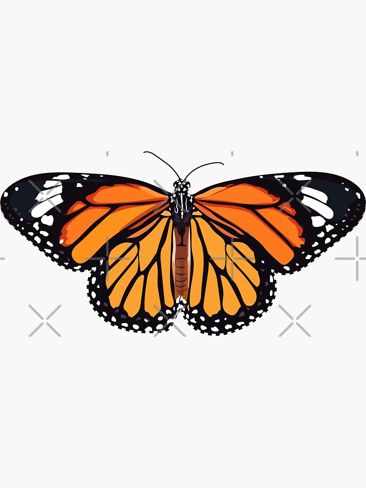 "Monarch Butterfly Sticker" Sticker for Sale by juliiaaaxoxo | Redbubble