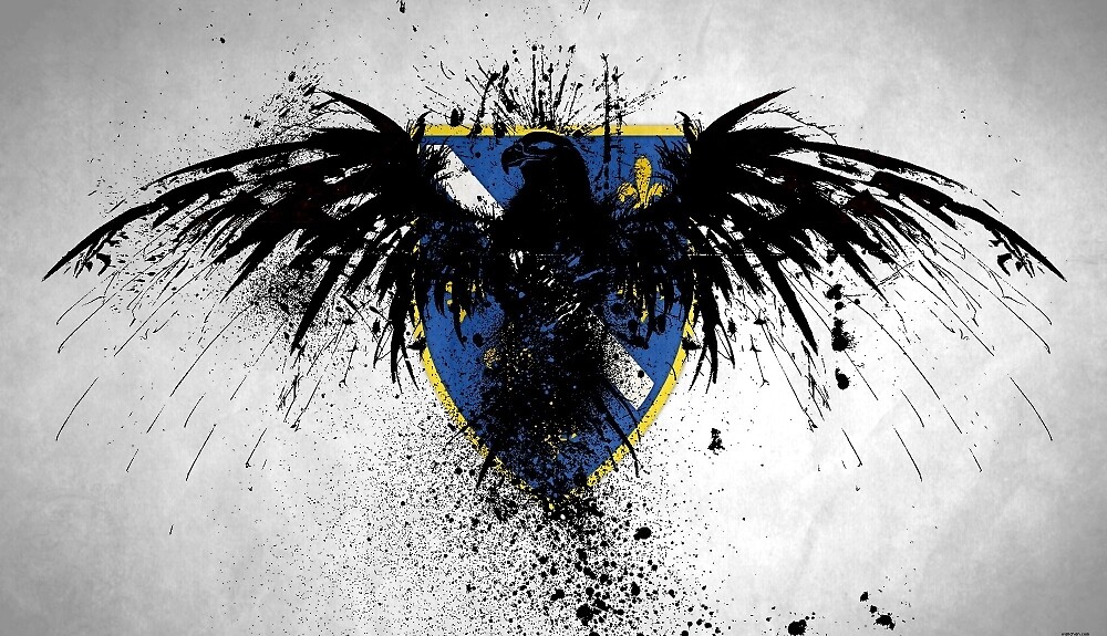 "RBiH Flag" by nmbhf | Redbubble