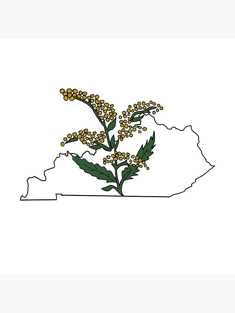"Kentucky State Flower" Poster for Sale by claireepete | Redbubble