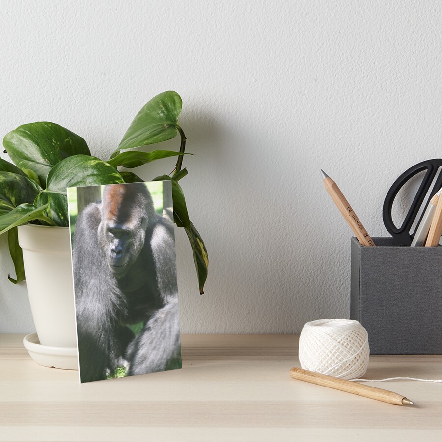"Anakka the Gorilla" Art Board Print by hannahlg63 | Redbubble