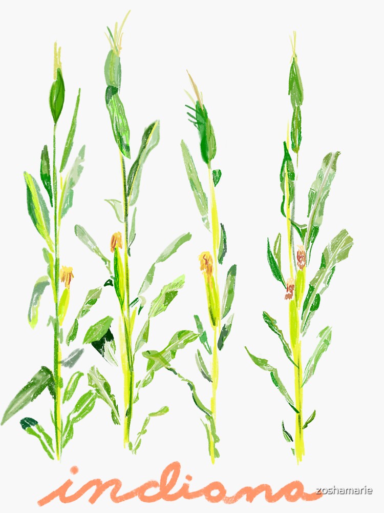 "Indiana Corn" Sticker by zoshamarie | Redbubble