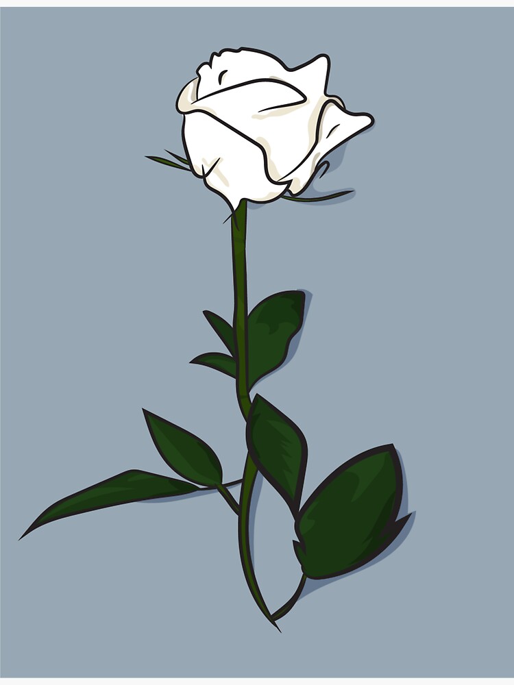 "Cartoon White Rose" Sticker by bjenbea8 | Redbubble