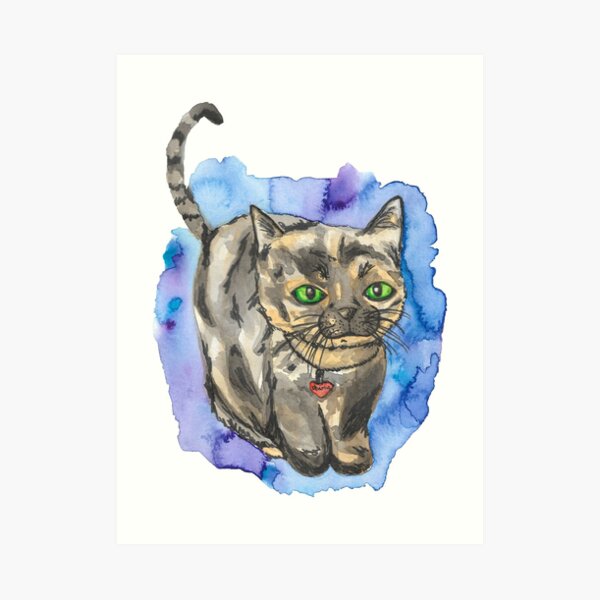 Tortoiseshell Cats Art Prints | Redbubble