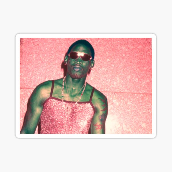 "DENNIS RODMAN" Sticker for Sale by sawhorsedvd | Redbubble