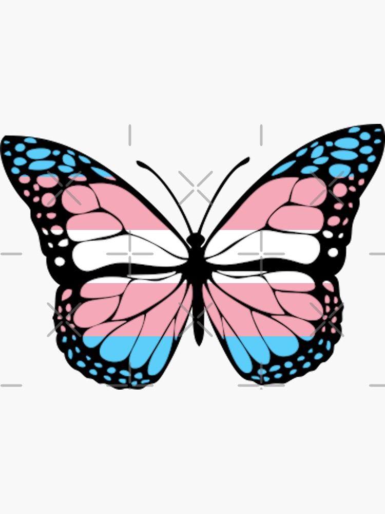 "Trans Flag Butterfly" Sticker by cutequeerthingz | Redbubble