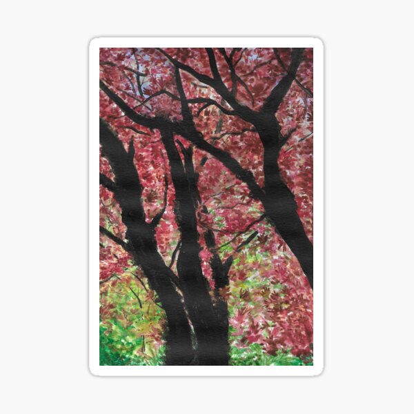 "Pink Japanese Maple Tree" Sticker for Sale by SomethinFischy | Redbubble