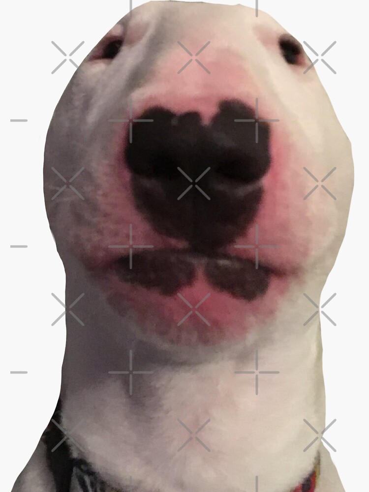 "Walter" Sticker by lucystickers3 | Redbubble