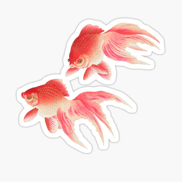 "Goldfish" Sticker for Sale by adaba | Redbubble