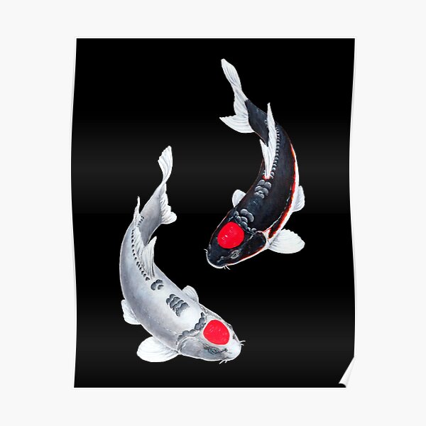 "Koi Fish Tancho Black White" Poster by Koiartsandus | Redbubble