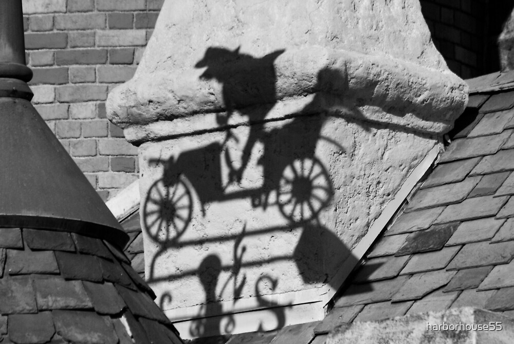 "Mr. Toad's Wild Ride Shadow" by harborhouse55 | Redbubble