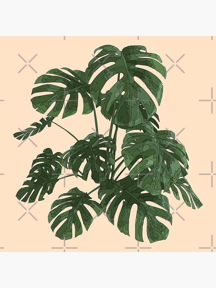 "monstera beige" Sticker by TheFernsCo | Redbubble