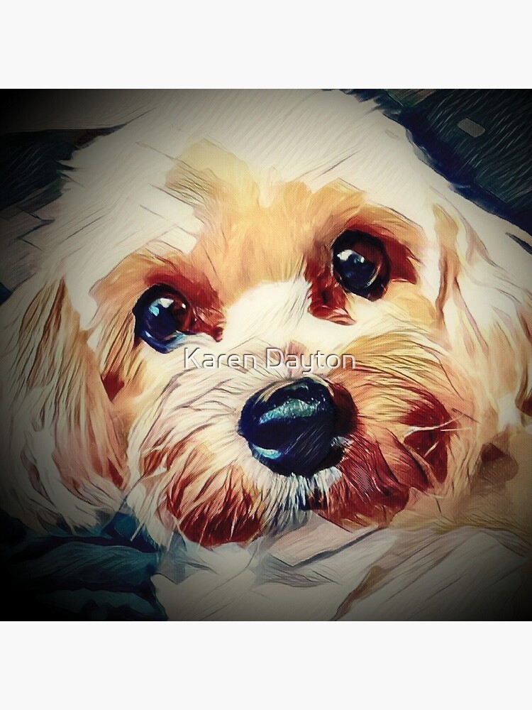"Copper the Havapoo Dog Art" Tote Bag for Sale by Karen Dayton | Redbubble