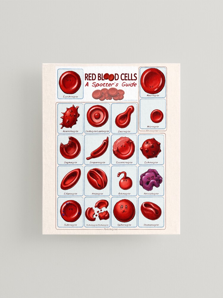 "Red blood cells" Mounted Print for Sale by John Chilton | Redbubble
