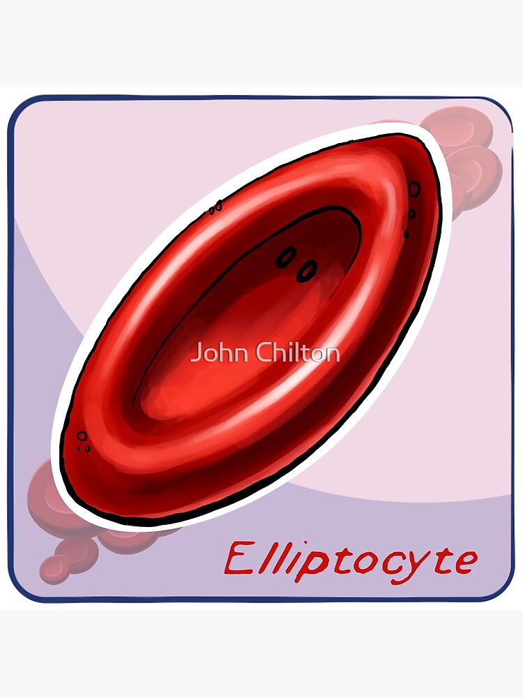 Elliptocyte