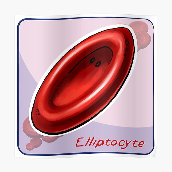 "Elliptocyte" Poster by DrawnToTheSea | Redbubble