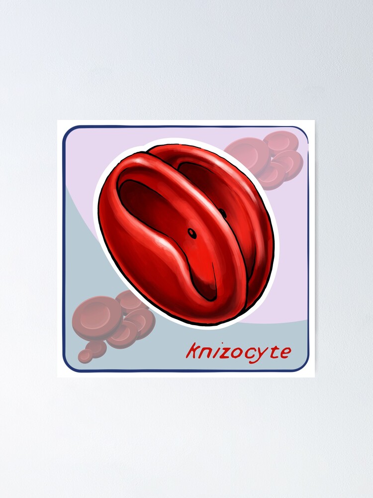 "Knizocyte" Poster for Sale by DrawnToTheSea | Redbubble