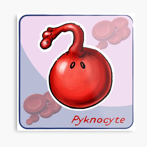 "Pyknocyte" Metal Print for Sale by John Chilton | Redbubble