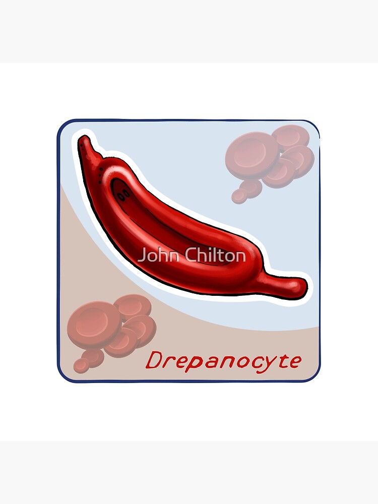 "Drepanocyte" Art Board Print for Sale by John Chilton | Redbubble