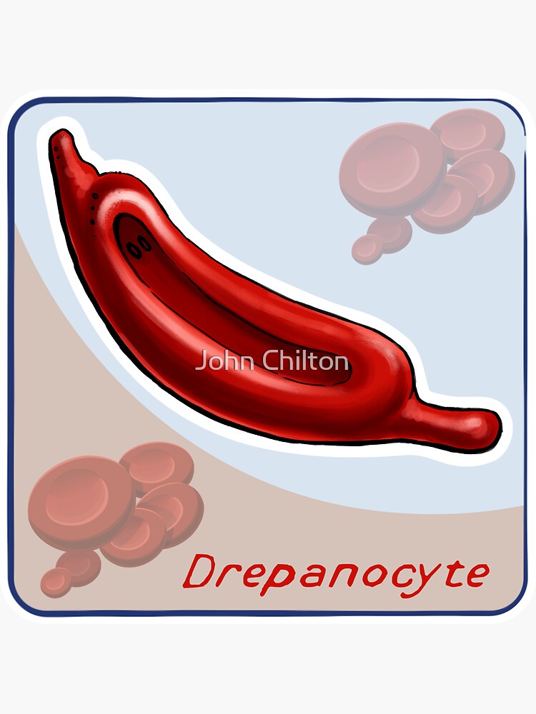 "Drepanocyte" Sticker for Sale by DrawnToTheSea | Redbubble