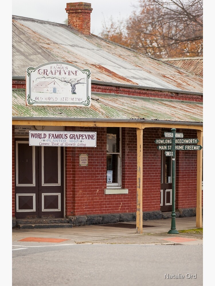 "The Grapevine, Chiltern" Poster by nord | Redbubble