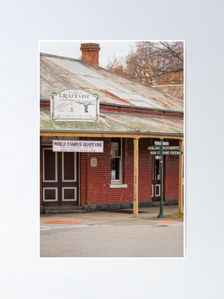 "The Grapevine, Chiltern" Poster by nord | Redbubble