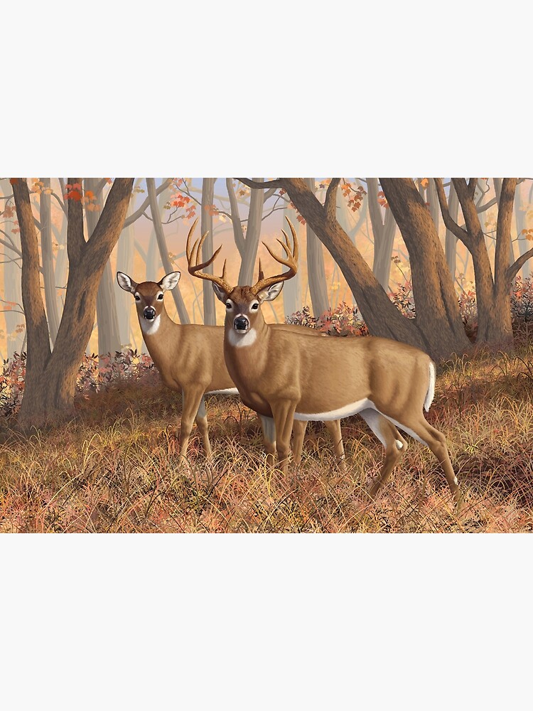 Whitetail Deer Monster Buck and Doe Bath Mat sold by WilKazery | SKU ...