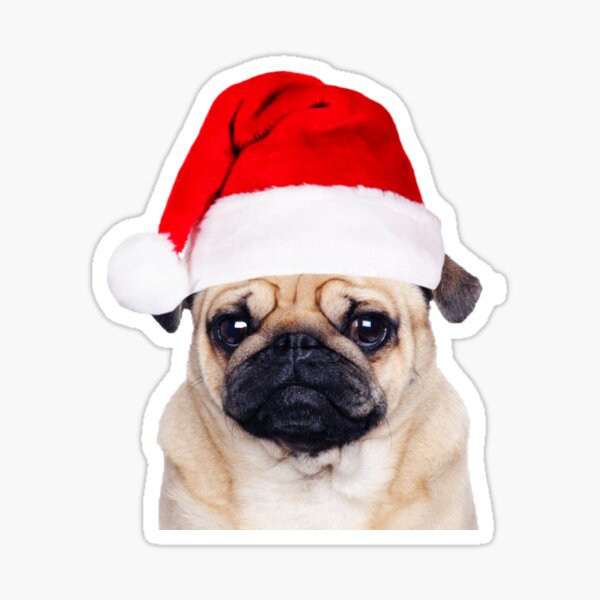 Pug Stickers | Redbubble
