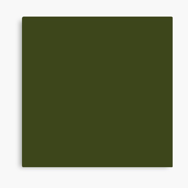 "Pantone Colors - Chive Green - Solid Color" Canvas Print for Sale by ...