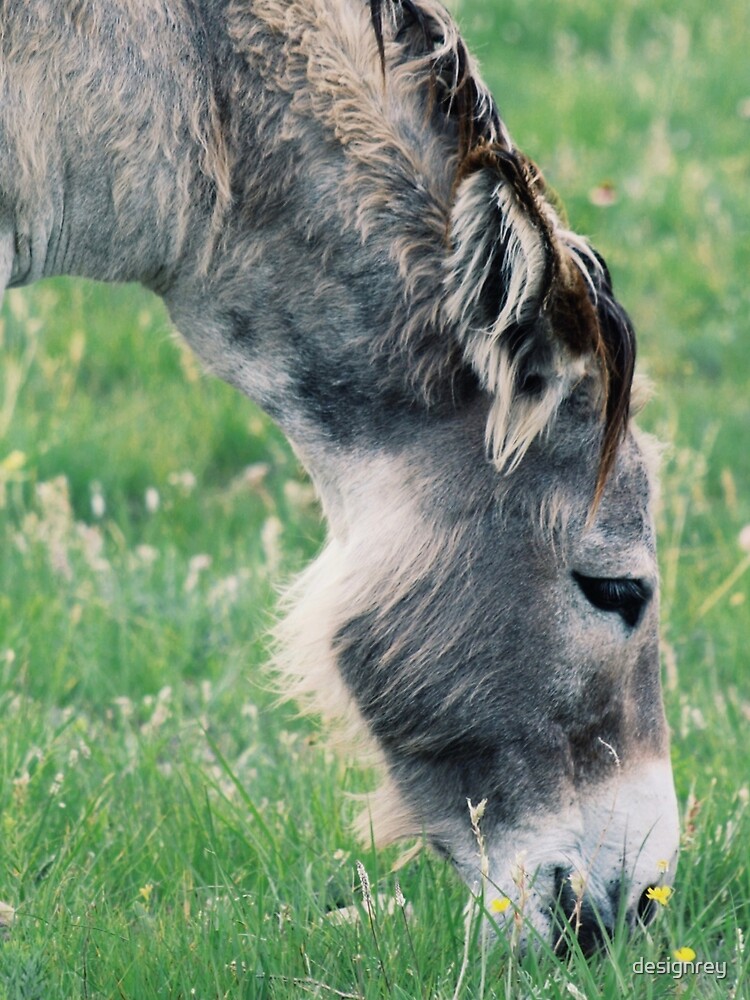 "Grey Burrow " T-shirt for Sale by designrey | Redbubble | black hills ...