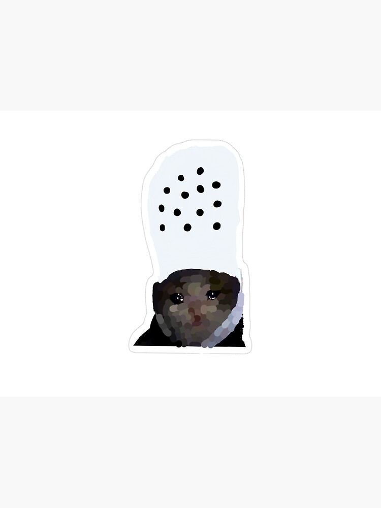 "Crying Cat Croc Meme" Sticker by axstheticxtom | Redbubble