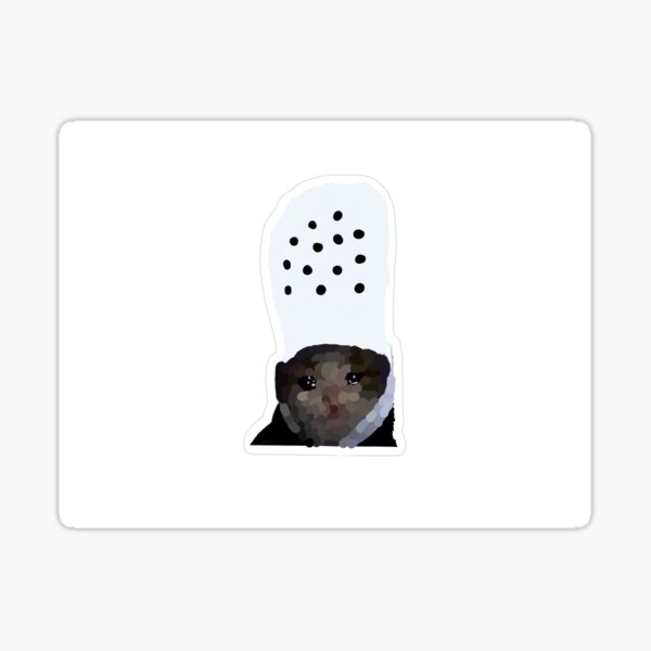 "Crying Cat Croc Meme" Sticker by axstheticxtom | Redbubble