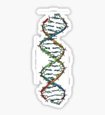 Dna Stickers | Redbubble