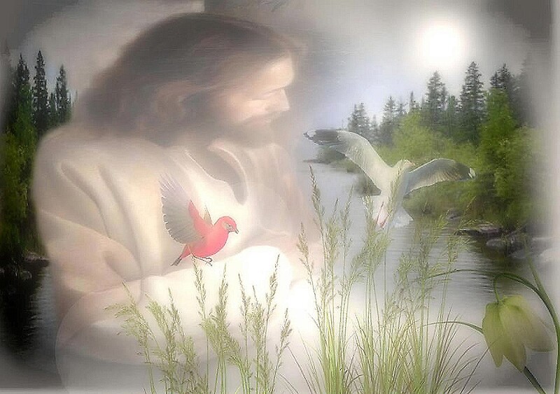 "Jesus in Nature" Posters by Rue McDowell | Redbubble