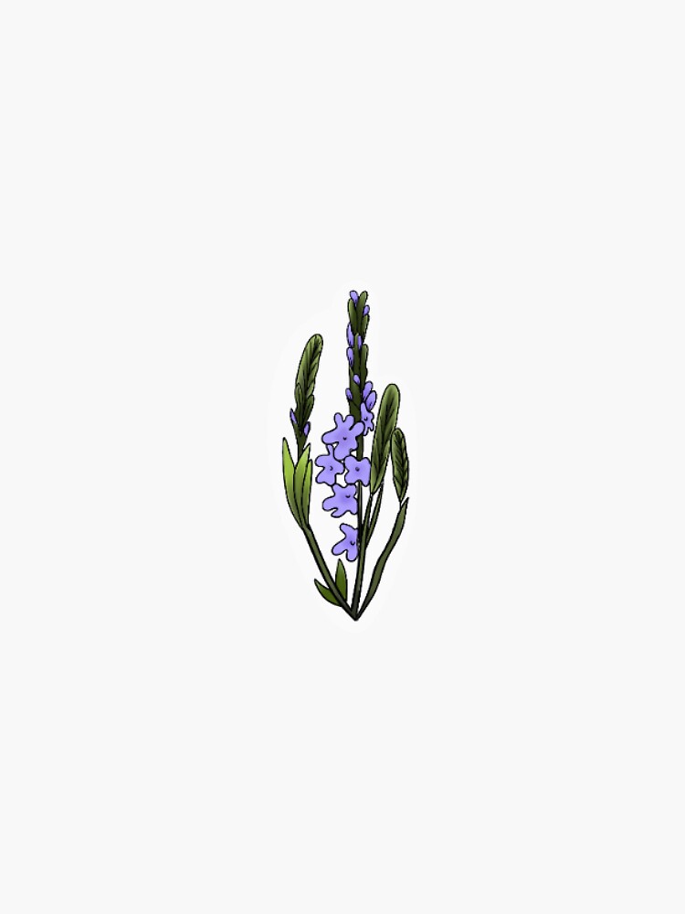 "Vervain " Sticker for Sale by Artbymanu | Redbubble