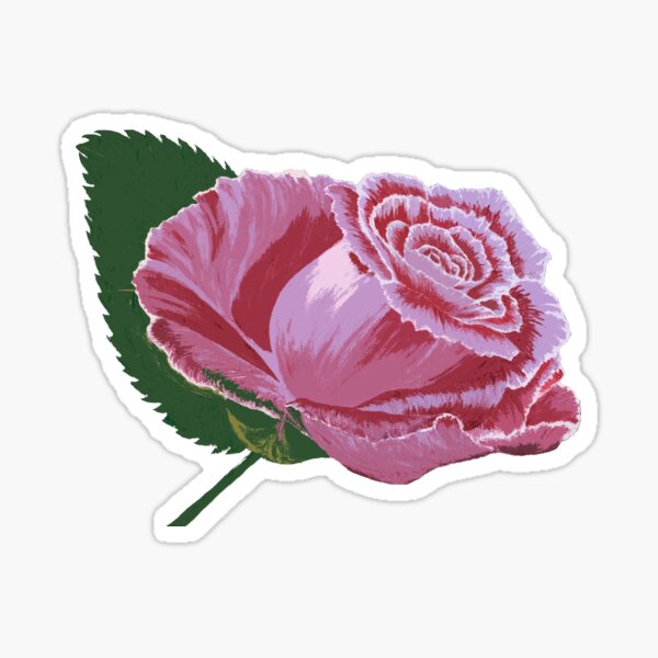 "Pink Rose" Sticker by AnnabellaHaggis | Redbubble