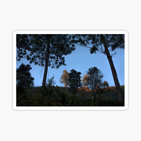 "SSK 9421 Be In The Light. Color" Sticker for Sale by SSK11101957 ...