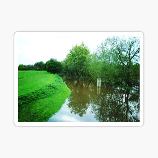 "Beauty of the Flood" Sticker for Sale by sweetairhead | Redbubble
