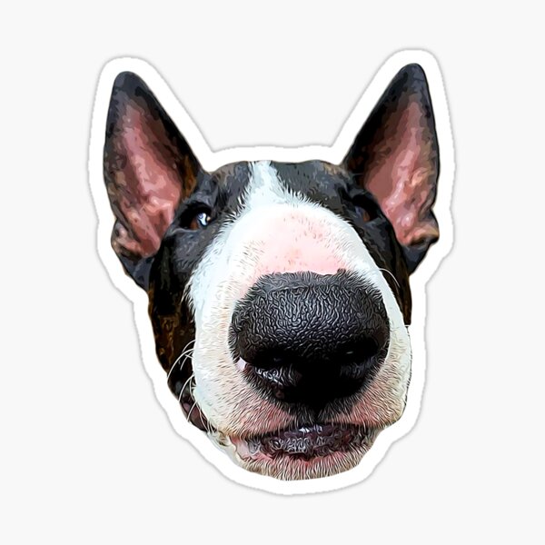 "Bull Terrier Head Boop Nose" Sticker for Sale by Elarex | Redbubble