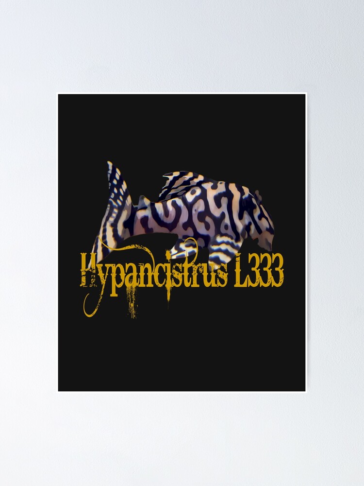 "L333 Hypancistrus Pleco" Poster for Sale by GFishy | Redbubble